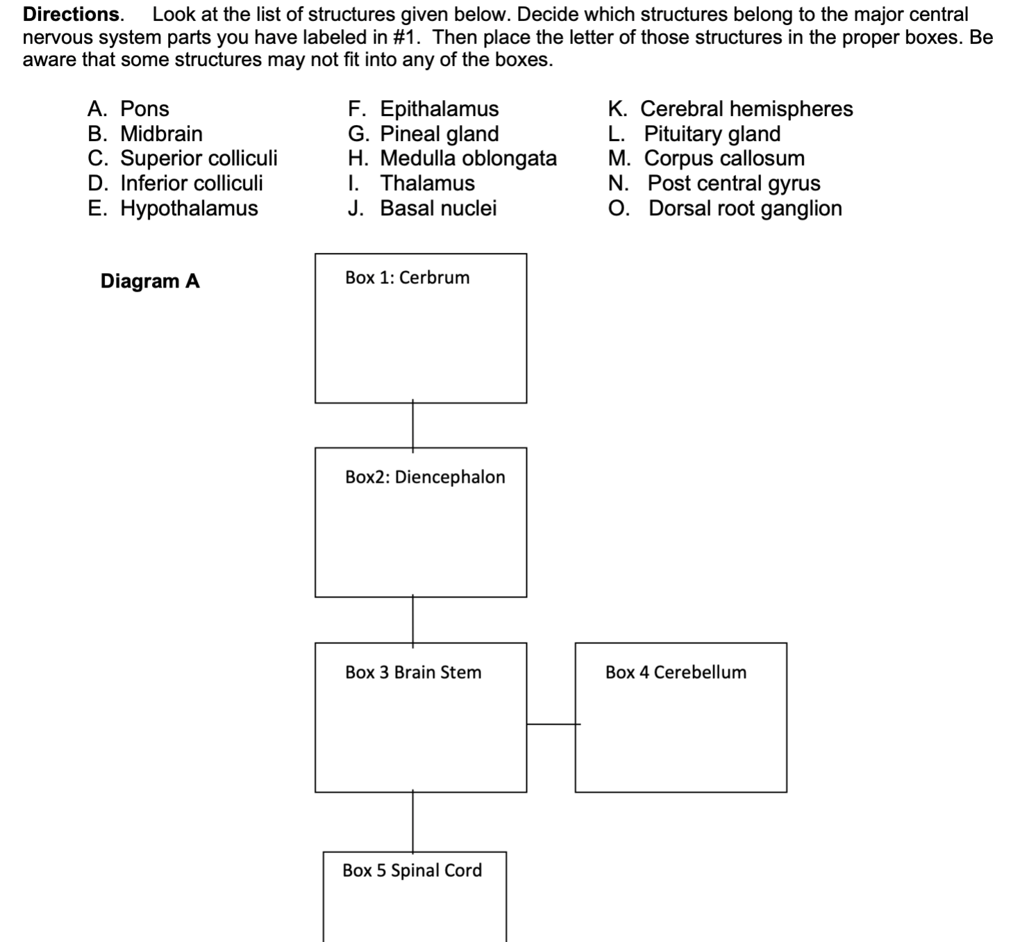 Solved Directions. Look at the list of structures given | Chegg.com
