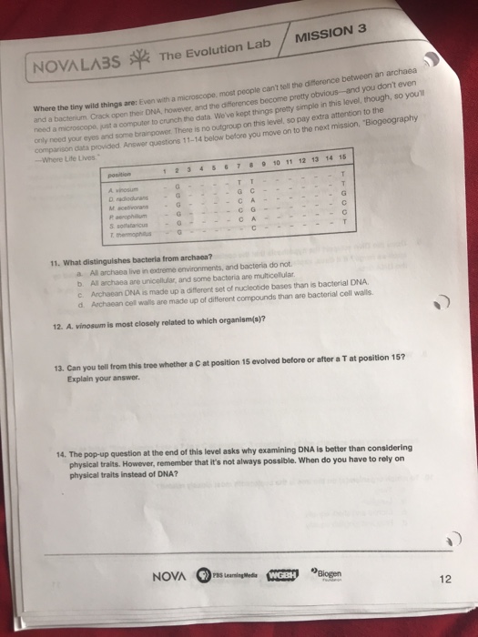 MISSION 3 The Evolution Lab between an archaea Where | Chegg.com