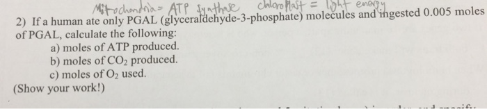 Solved a human ate only PGAL (glycerafdehyde-3-phosphate) | Chegg.com