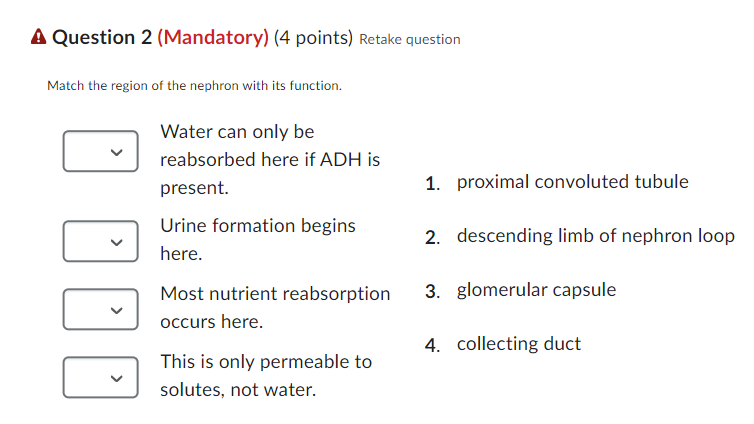 Solved Question 2 (Mandatory) (4 points) Retake question | Chegg.com Solved Question 2 (Mandatory) (4 points) Retake question | Chegg.com