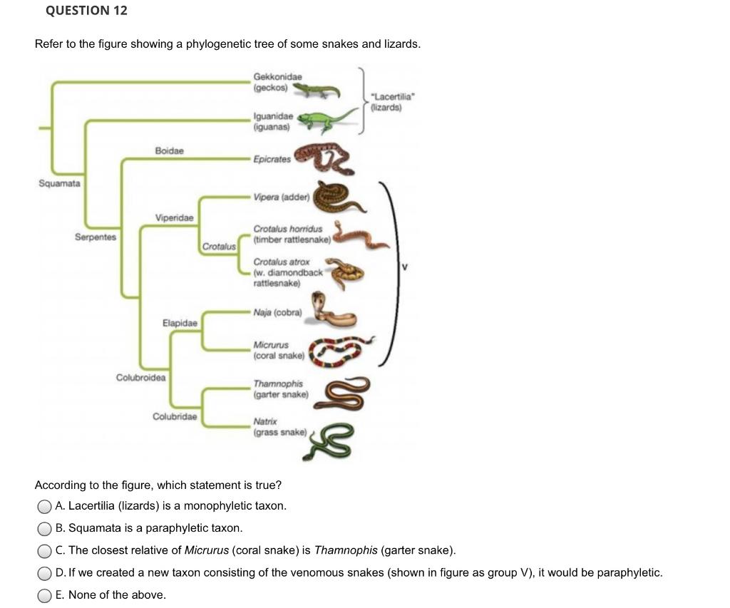 Solved QUESTION 12 Refer to the figure showing a | Chegg.com
