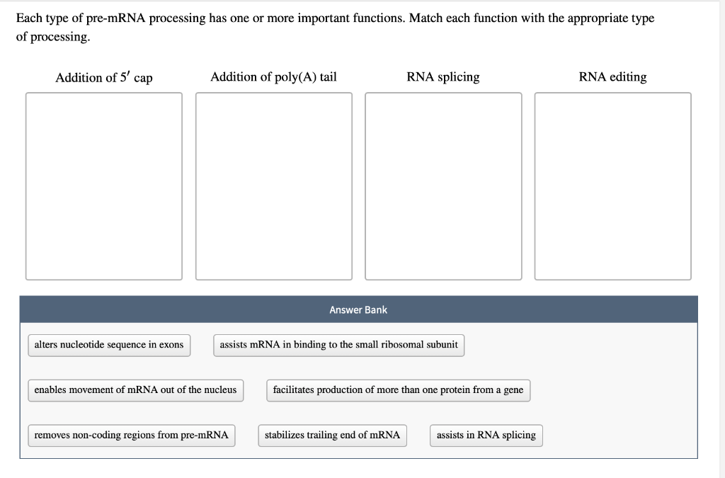 Solved Each type of pre-mRNA processing has one or more | Chegg.com