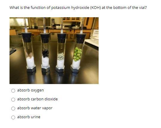 Solved What is the function of potassium hydroxide (KOH) at | Chegg.com
