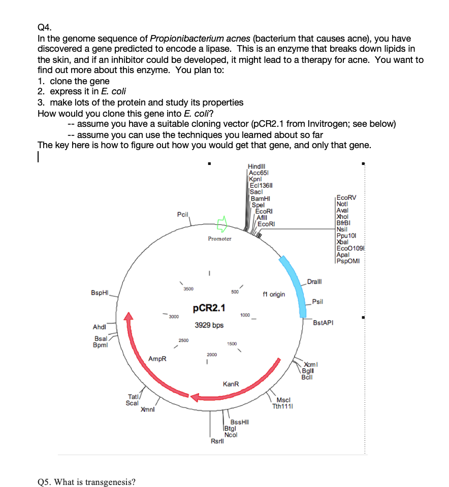 Solved Q4.In the genome sequence of Propionibacterium acnes | Chegg.com