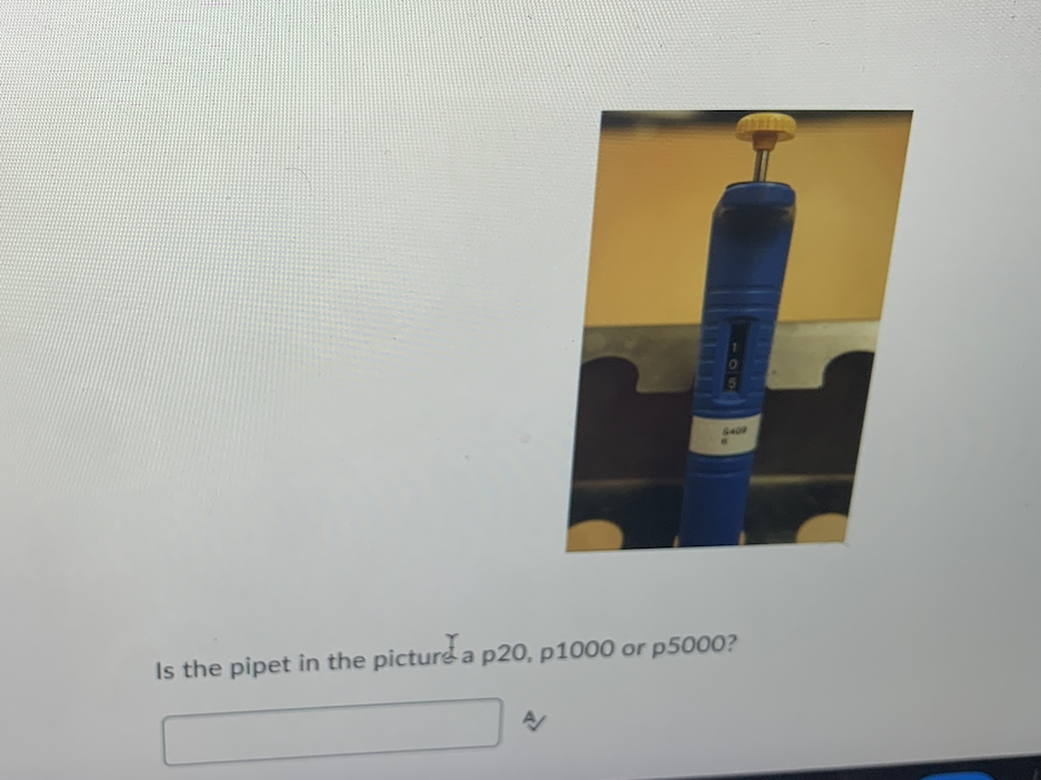 Solved What volume, in ml, will this P5000 measure? Is the | Chegg.com