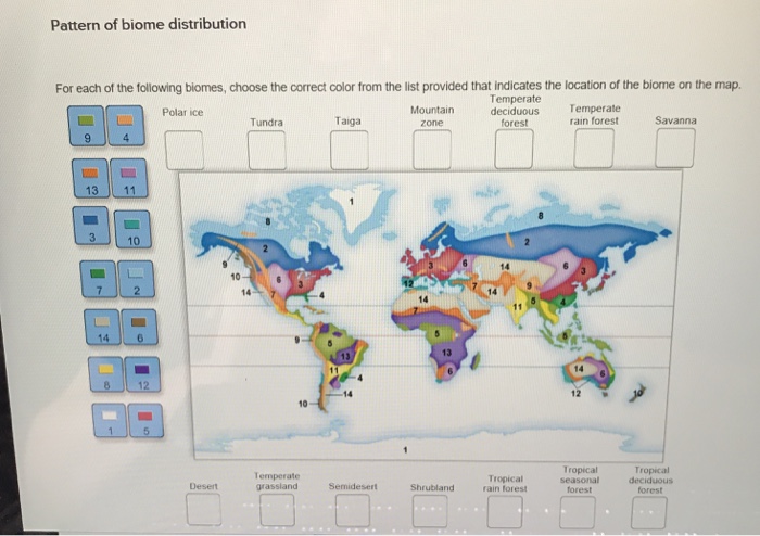 Solved Pattern of biome distribution For each of the | Chegg.com