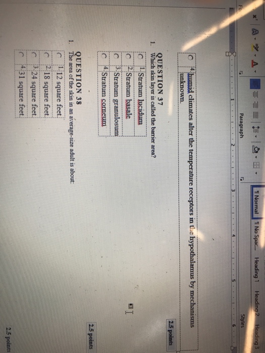 Solved Paragraph Font True and False questions: QUESTION 1 | Chegg.com