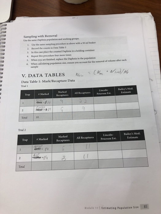 Solved Calculate the Lincoln Peterson and baileys mod | Chegg.com
