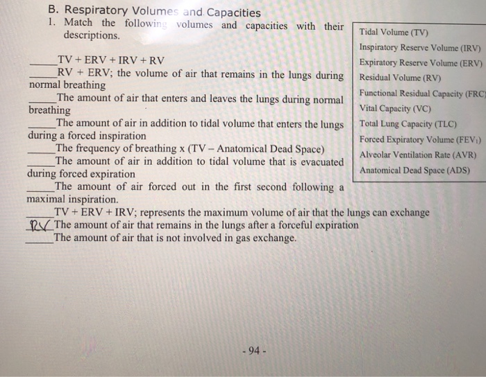 Solved B. Respiratory Volumes and Capacities 1. Match the | Chegg.com