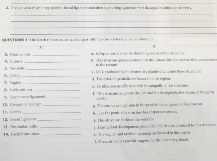 Solved QUESTIONS 1-6: Match the term in column A with the | Chegg.com