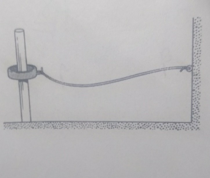 Solved One end of a 1.20-m string is held fixed. The other | Chegg.com