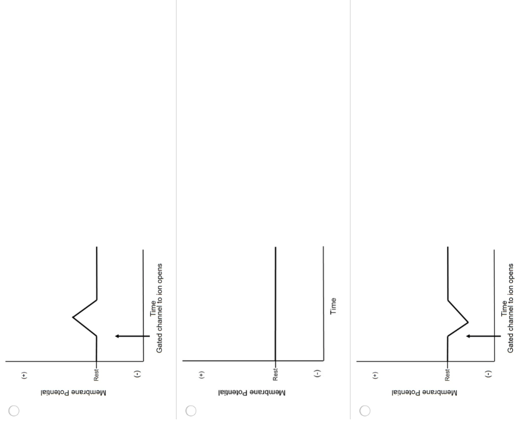 Solved A) Which of the below graphs best shows the change in | Chegg.com