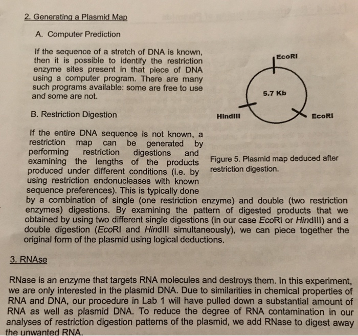 Solved LLab 4 - Restriction Mapping of Plasmids A. | Chegg.com
