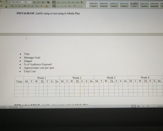 Marketing 420 Advertising Media Flight Plan | Chegg.com