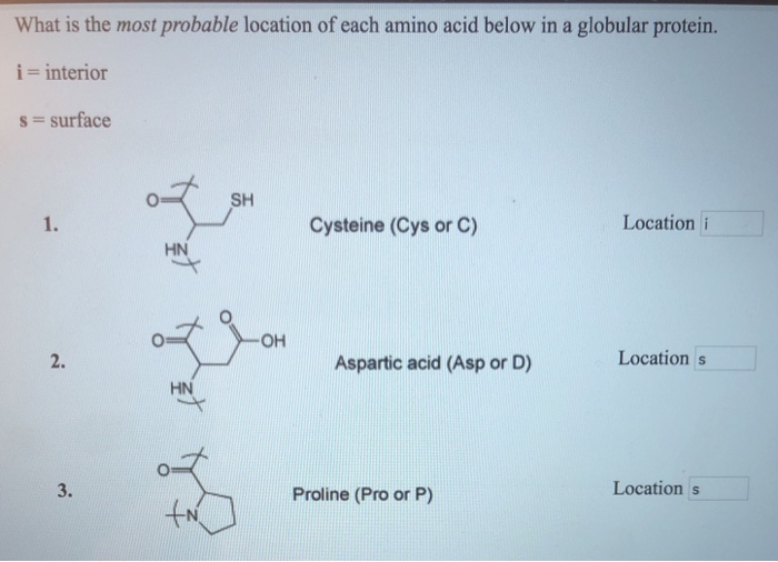 Solved What is the most probable location of each amino acid | Chegg.com
