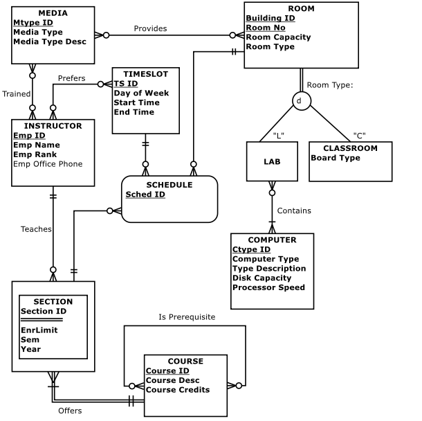 Solved In ERDPlus, create ER diagrams and convert these | Chegg.com