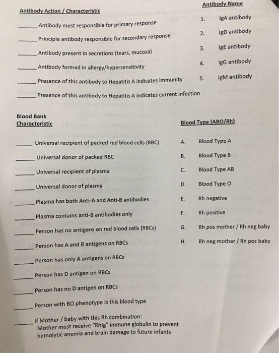 MLS 101 Blood Bank/Immunology/ Coagulation Worksheet | Chegg.com