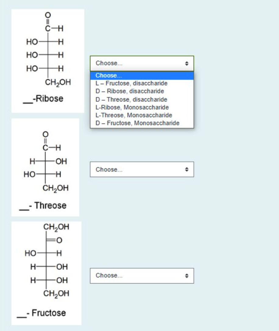 Solved _-Threose Choose... | Chegg.com
