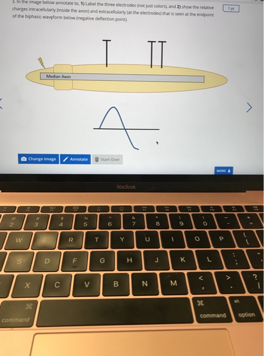 . In the image below annotate to, 1) Label the three | Chegg.com