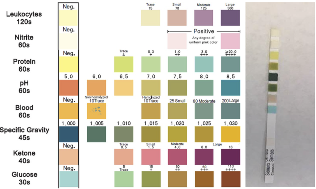 Solved Using the given and answer the following: Part 1: i) | Chegg.com