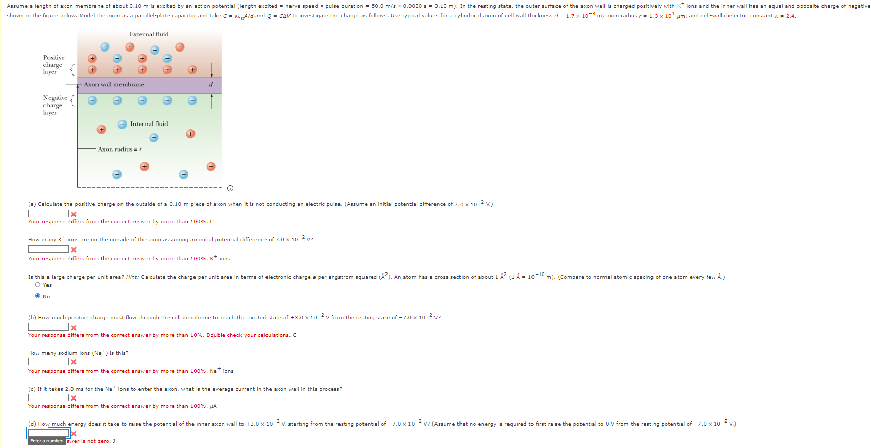 Solved Yes No (b) How much positive charge must flow through | Chegg.com