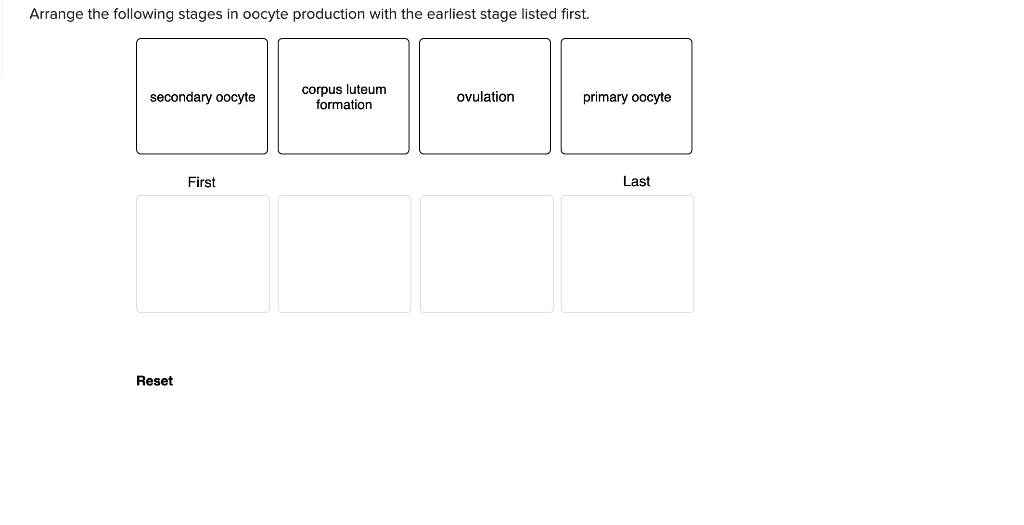 Solved Arrange the following stages in oocyte production | Chegg.com