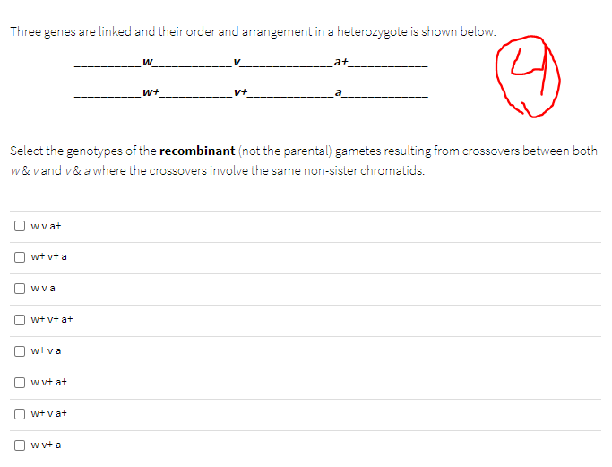 Solved Three genes are linked and their order and | Chegg.com