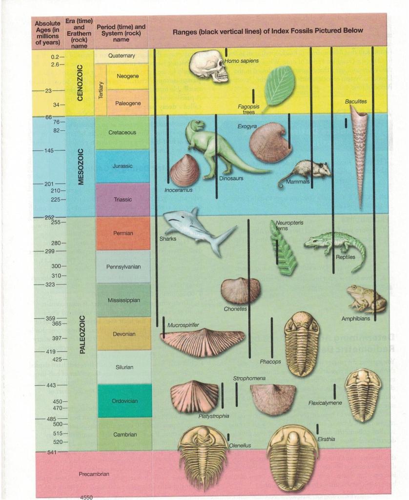 Index Fossil Chart