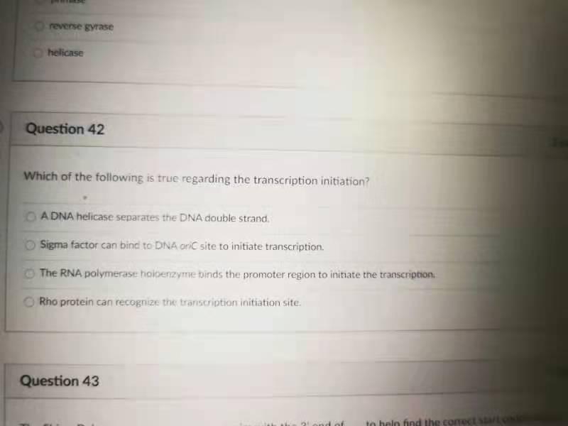 Solved having 705 or 80S ribosomes the presence or absence | Chegg.com