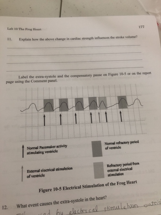 Solved 174 Lab 10 The Frog Heart Table 10-3 Temperature | Chegg.com