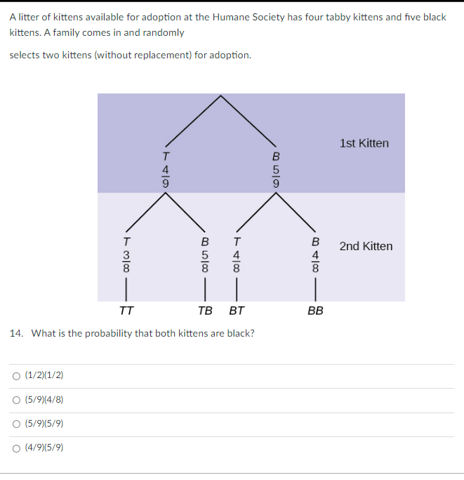 Solved A litter of kittens available for adoption at the | Chegg.com