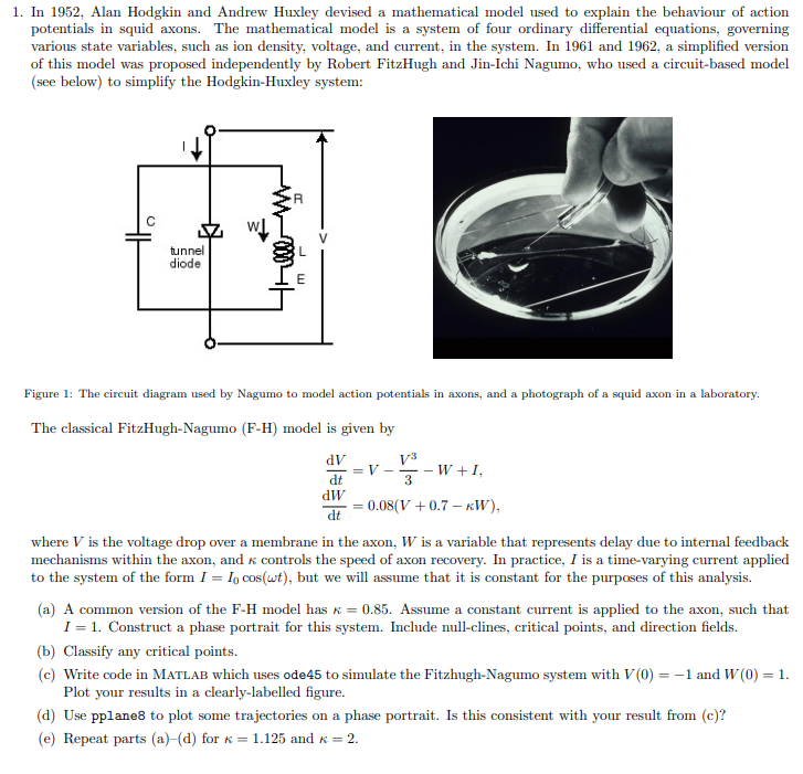 1. In 1952, Alan Hodgkin and Andrew Huxley devised a | Chegg.com