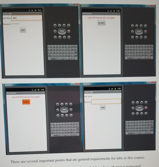 Solved Requirements The application will let the user enter | Chegg.com