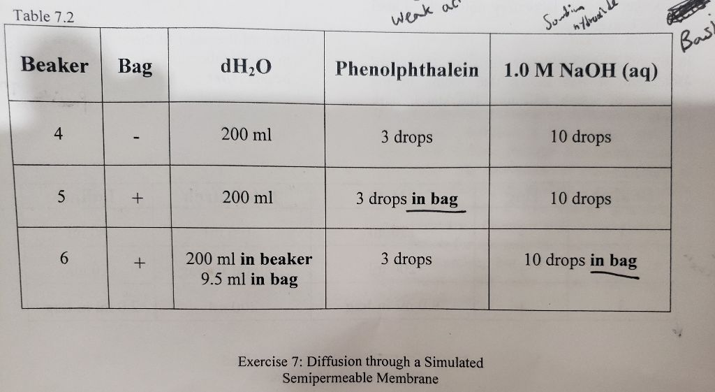 Solved Table 7.1 Iodine Beaker Bag 1% Starch dH2O 30.0 ml | Chegg.com