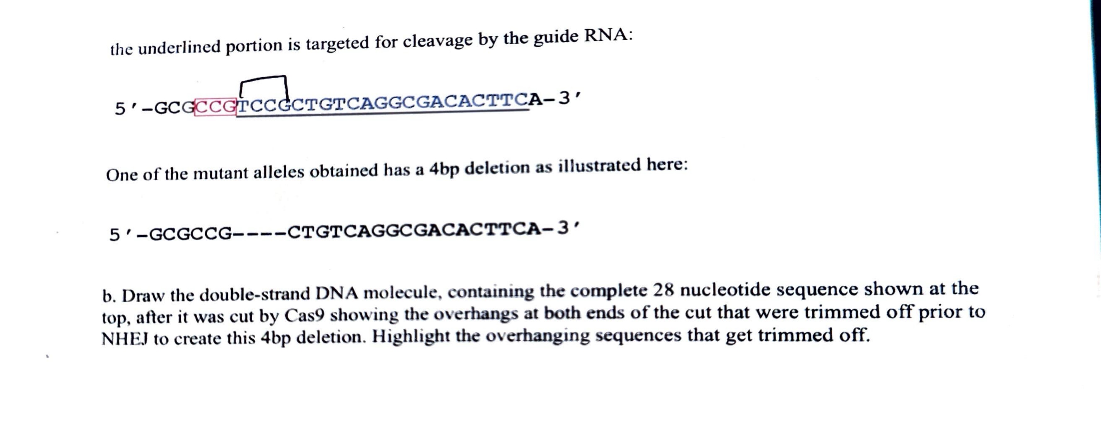 Solved A Geneticist Uses Crispr Cas9 Editing To Introduce