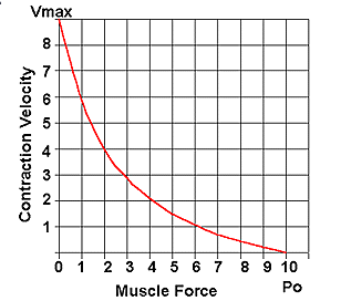 Look up the load-velocity curve. Identify the | Chegg.com