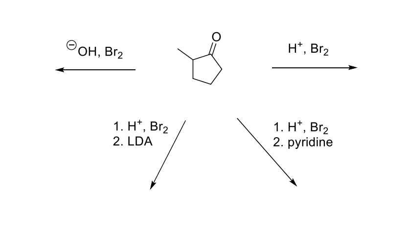 ΘOH,Br2 H+,Br2 1. H+,Br2 2. pyridine | Chegg.com
