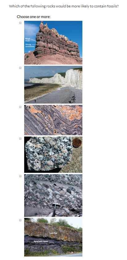 Solved Which of the following rocks would be more likely to | Chegg.com