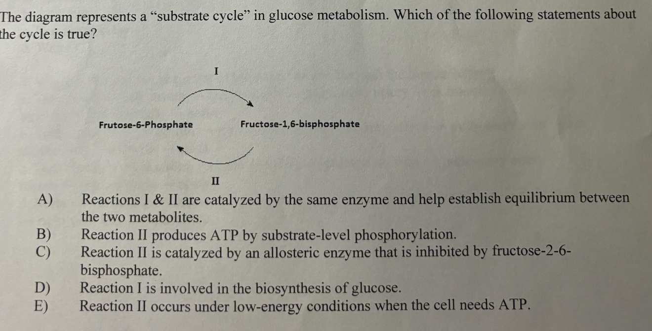 Solved The diagram represents a "substrate cycle" in glucose | Chegg.com