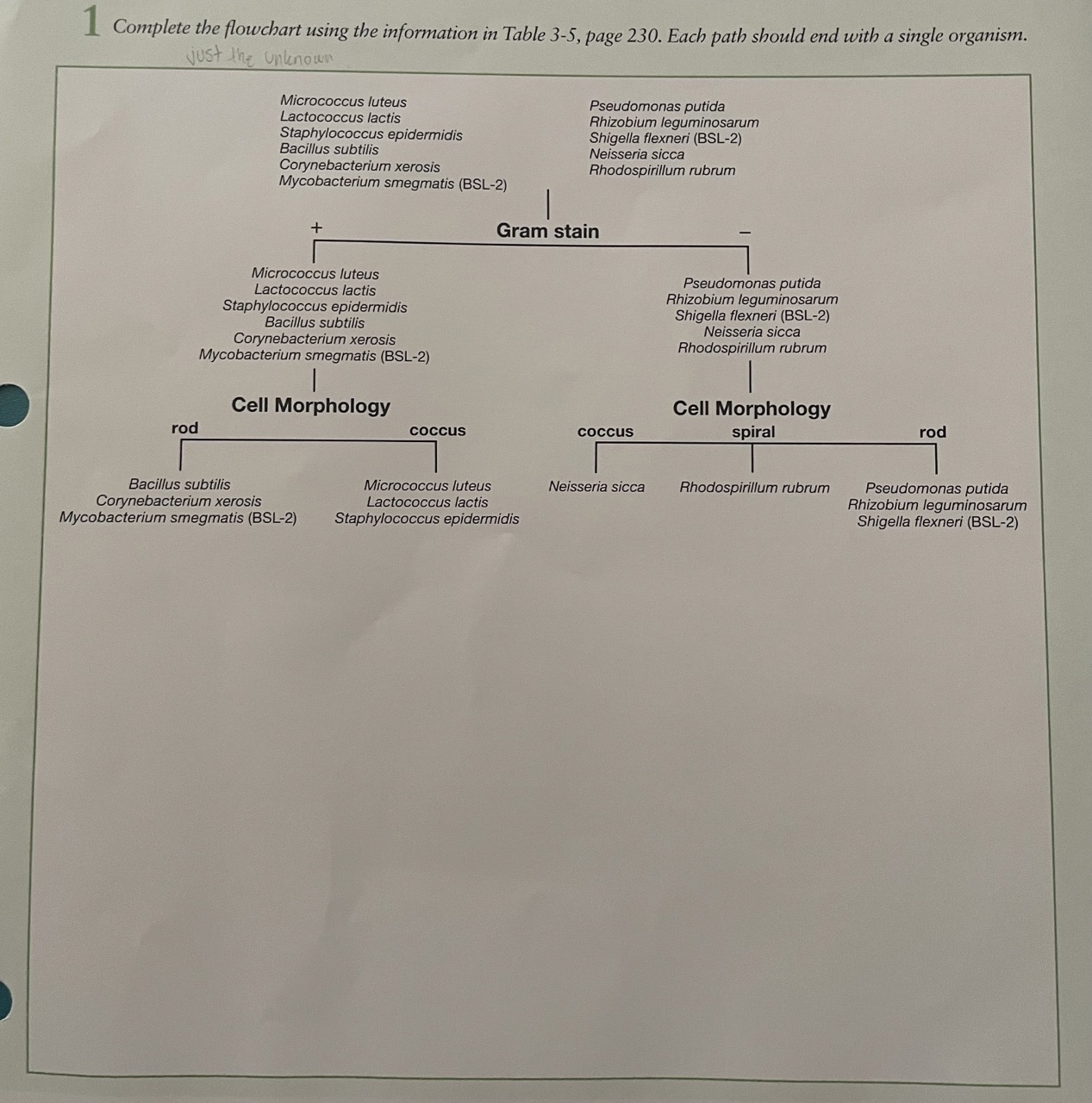 1 Complete the flowchart using the information in | Chegg.com