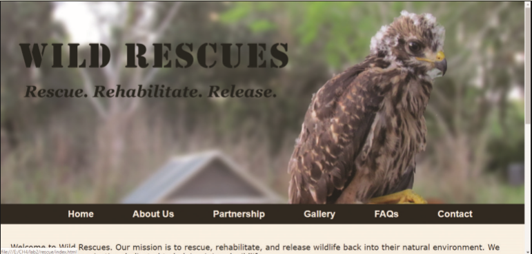 Solved 1. In your rescue folder and create a new subfolder | Chegg.com