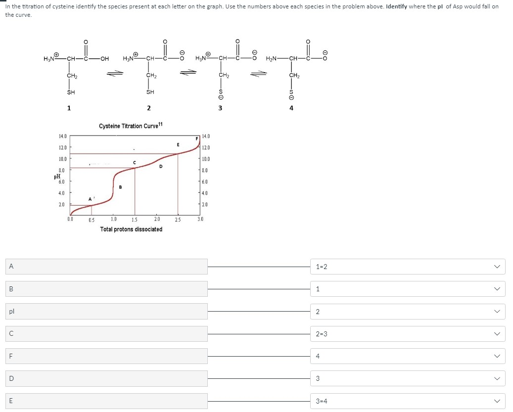 Solved In the titration of cysteine identify the species | Chegg.com