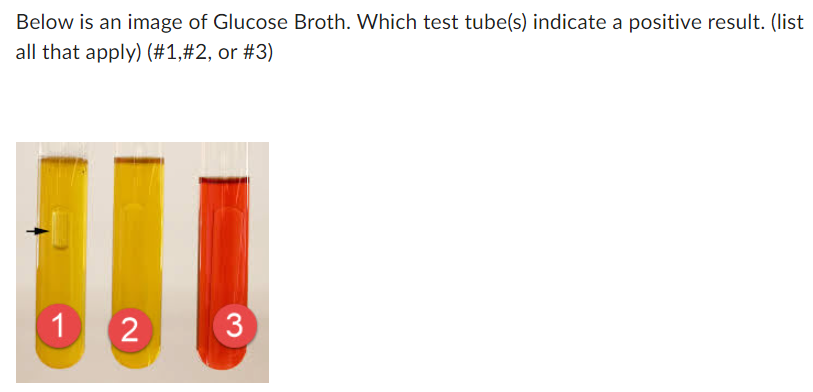 Solved 1) Below is an image of Triple Sugar Iron Agar - | Chegg.com