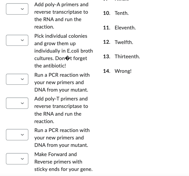 Solved Question 3 (1 point) Saved Matching. Which | Chegg.com