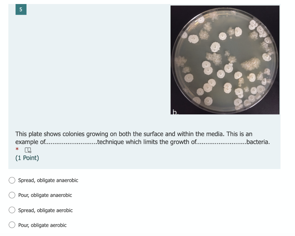 Solved This plate shows colonies growing on both the surface | Chegg.com