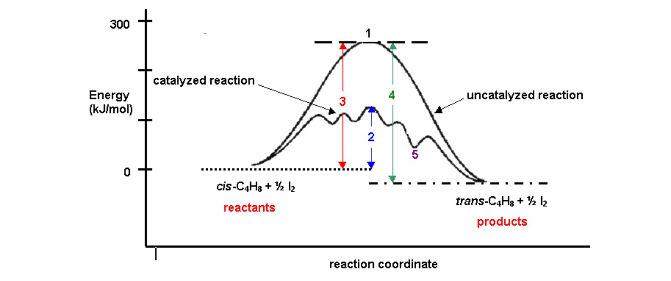 The diagram shown above shows the reaction profile | Chegg.com