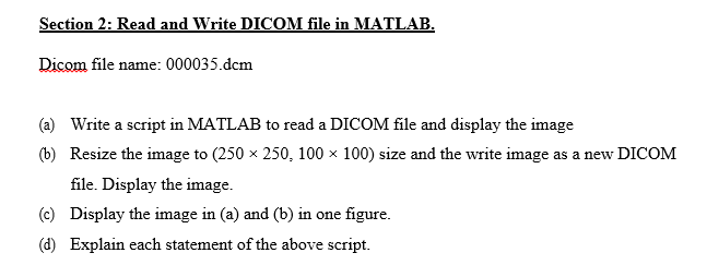 Section 2 Read And Write Dicom File In Matlab Dicom 