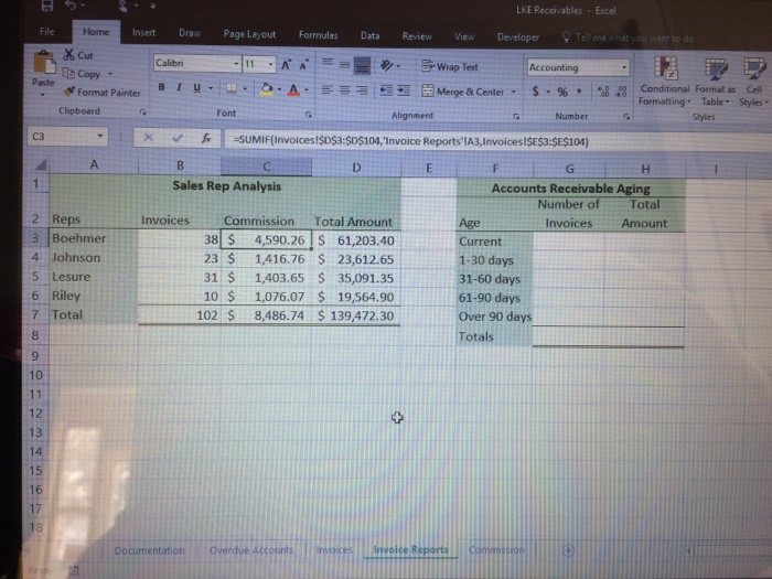 In the Invoice Reports worksheet, complete the | Chegg.com
