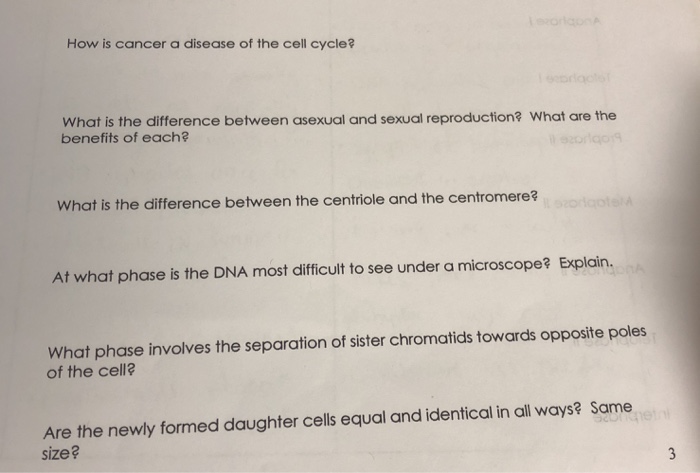 Solved How is cancer a disease of the cell cycle? What is | Chegg.com