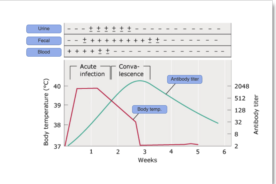 Solved Urine Fecal Blood Red line - Body Temperature Green | Chegg.com